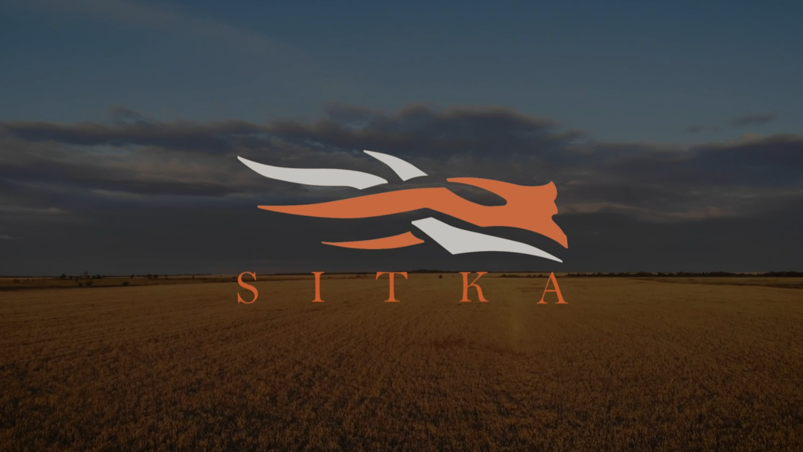 Sitka Logo Animation Karsi Peterson Designs